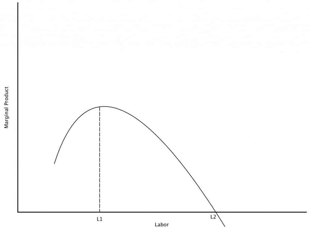 Theory of Production: Short-Run | Intelligent Economist