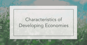 Characteristics Of Developing Economies | Intelligent Economist