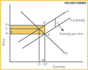 Subsidies Explained - Intelligent Economist