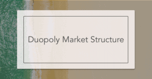 Duopoly Market Structure - Intelligent Economist