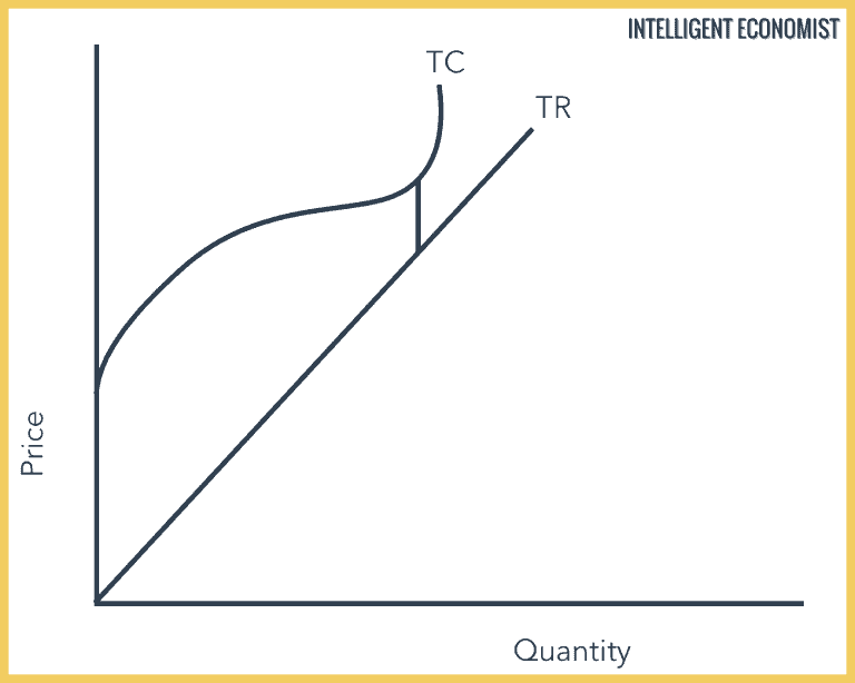 Perfect Competition Explained - Intelligent Economist