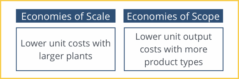 Economies Of Scope - Intelligent Economist