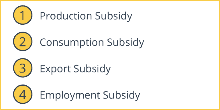 Subsidies Explained - Intelligent Economist