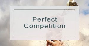 Perfect Competition Explained - Intelligent Economist